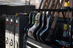 Your Closest Look Yet: The Best Sturgis Buffalo Chip Concert Photos of ...