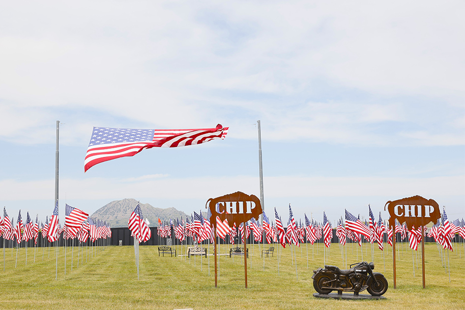 Chip Shots Contest Showcases Your Best Sturgis Buffalo Chip® Photos ...