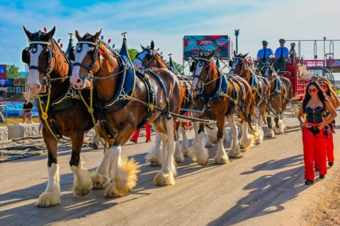 Busted Wide Open: Sturgis Photos That’ll Make You Wish Rally Never ...